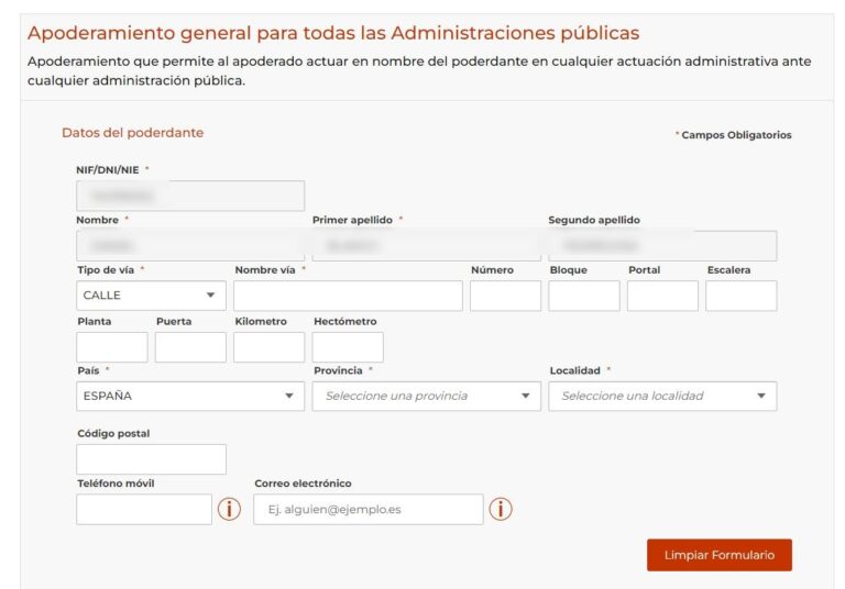 Registro electrónico de apoderamientos 【REA】